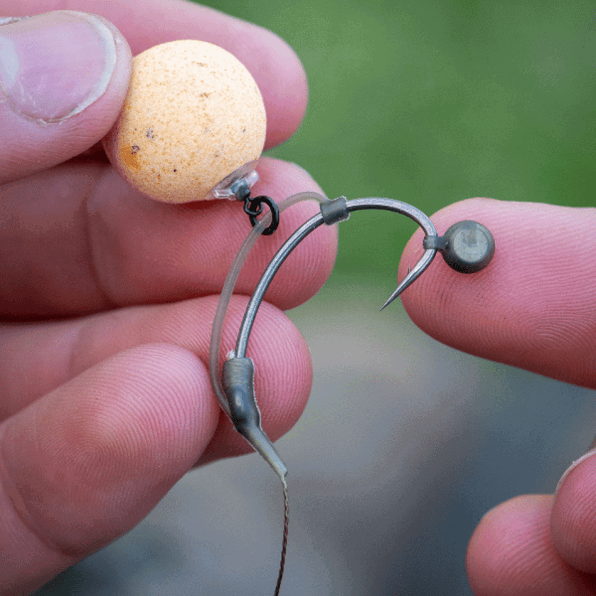 Fox Edges Shot On The Hook - Capital Angling