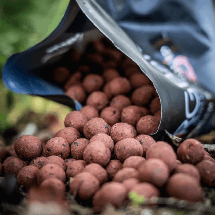 RG Baits Red Sea Squid Bundle - Capital Angling