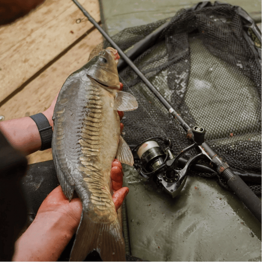 OMC FC Float Combo - 10ft Float Rod + Reel (Loaded with mono) - Capital ...