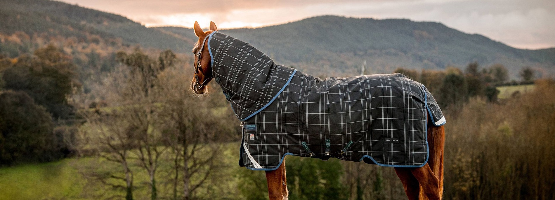 Shop Horse Rugs at Track Right Equestrian