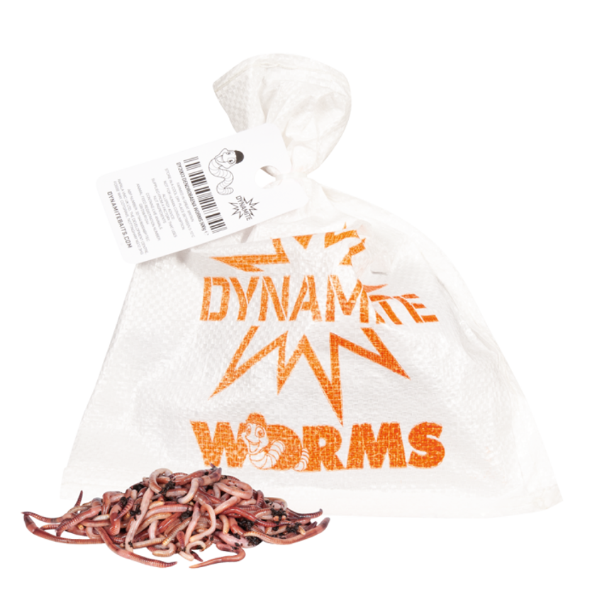 Dynamite Dendrabena Worms 500g Bag - Birds Tackle