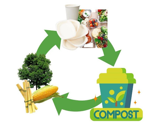 Commercially Compostable vs Home Compostable