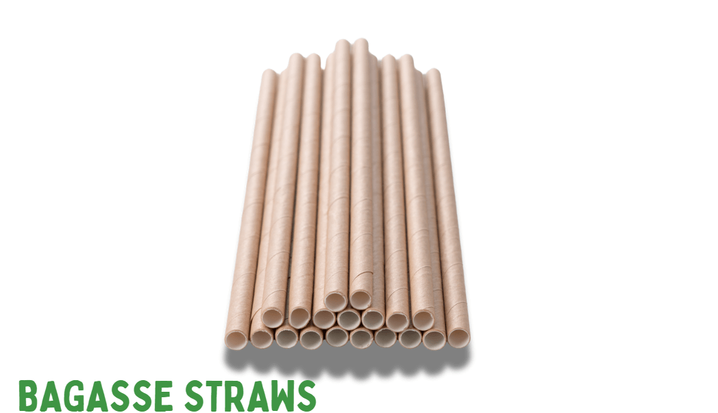 What is Bagasse? 8 Eco Benefits of Bagasse Packaging