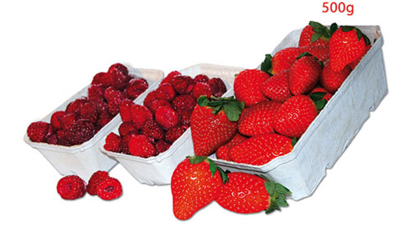 FRUIT PUNNETS - BIODEGRADABLE PULP FIBRE