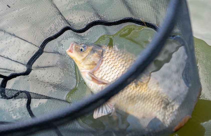 Guru Tackle Guru F1 Competition Net