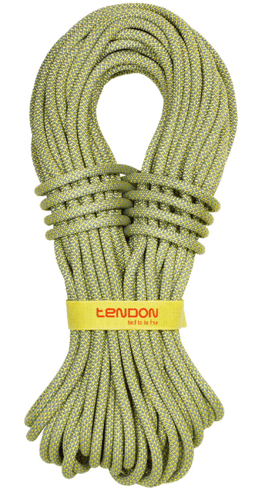 Tendon red/yellow Tendon Indoor 10.2i 200m drum - Dark Ventures