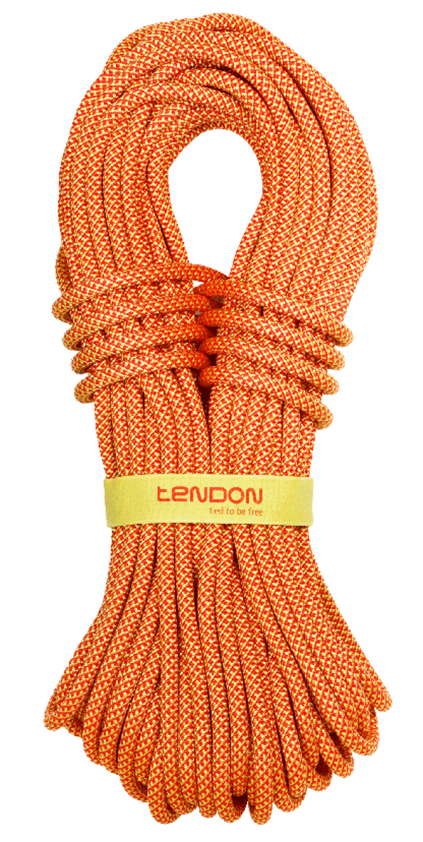 Tendon red/yellow Tendon Indoor 10.2i 200m drum - Dark Ventures