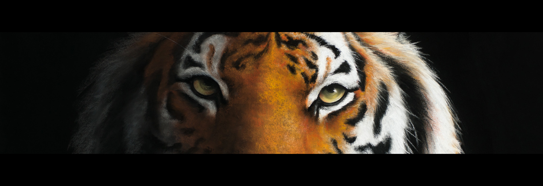 Angela Davidson Art Animal Paintings: Captivating Wildlife Art