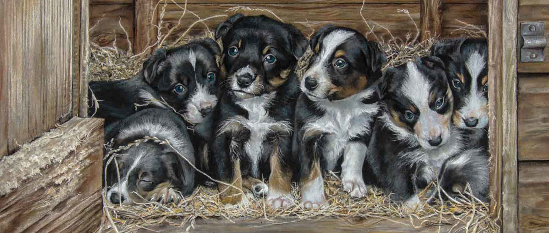 Dog Art Portraiture and Limited Edition Prints Featuring Various Dog Breeds