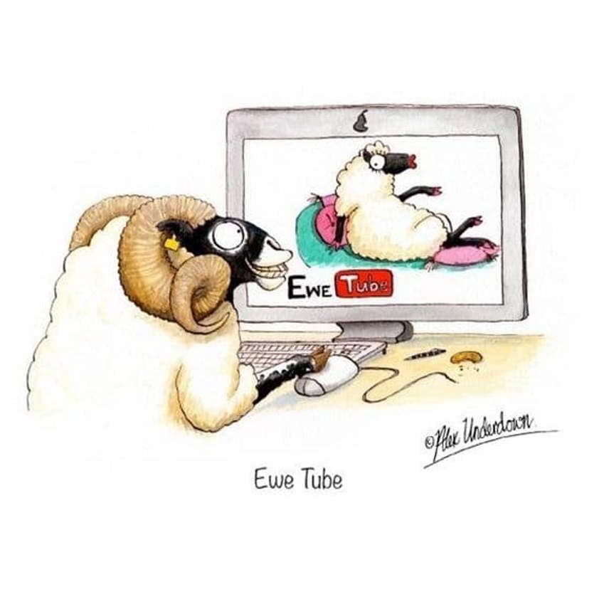 Alex Underdown Blank Greeting Card Ewe Tube