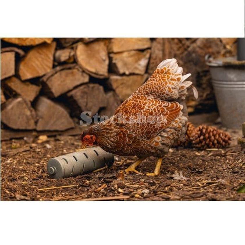 Stockshop Beetees Chicken Snack Roller