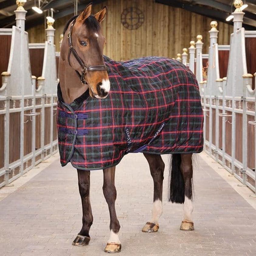 Shires Tempest Plus 100g Stable Rug Standard Neck - Green Check