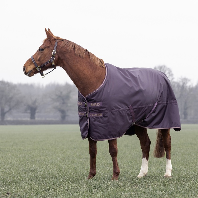 Shires Typhoon 200g Combo Turnout Rug - Green