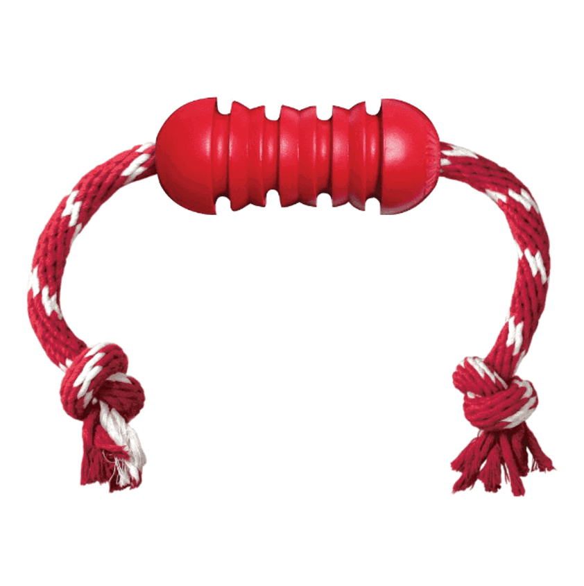 KONG Dental With Rope - Medium